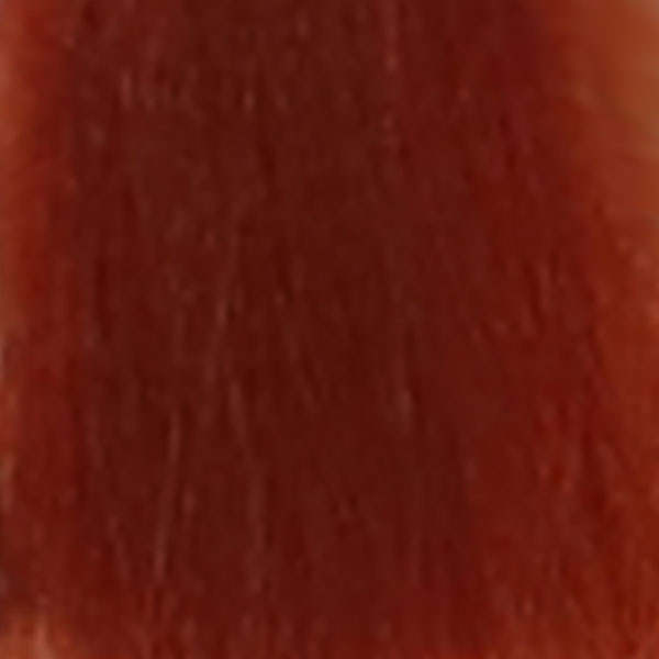 Bheysé Gloss Color Coloring Oil 60ml